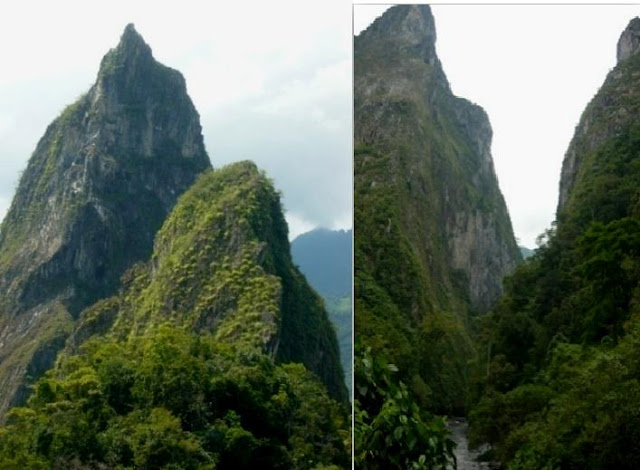 PUERTA VERDE DE COLOMBIA: PAUNA BOYACÀ