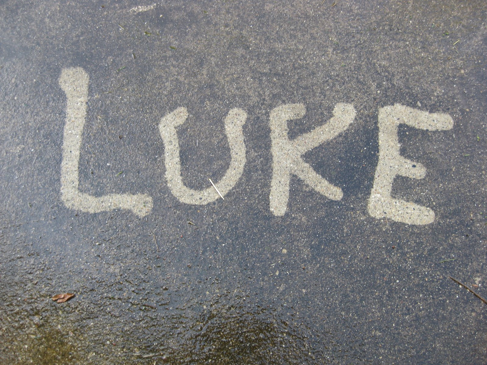 David, Alyssa, Luke, Eva, and Hudson: Patio Graffiti