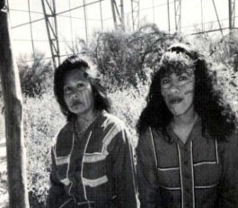 Los seris, su historia