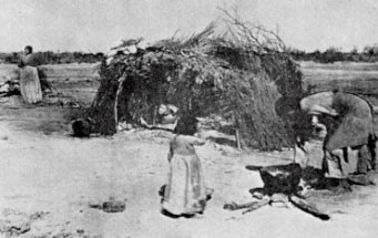 Los seris, su historia