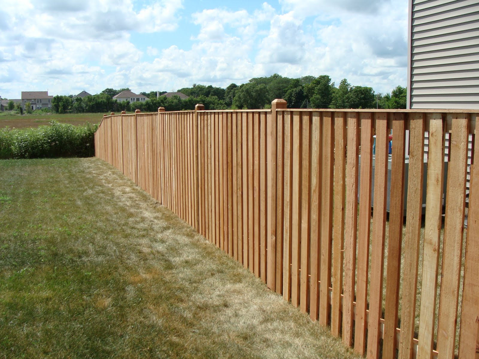 The Martha Initiative: The finished fence