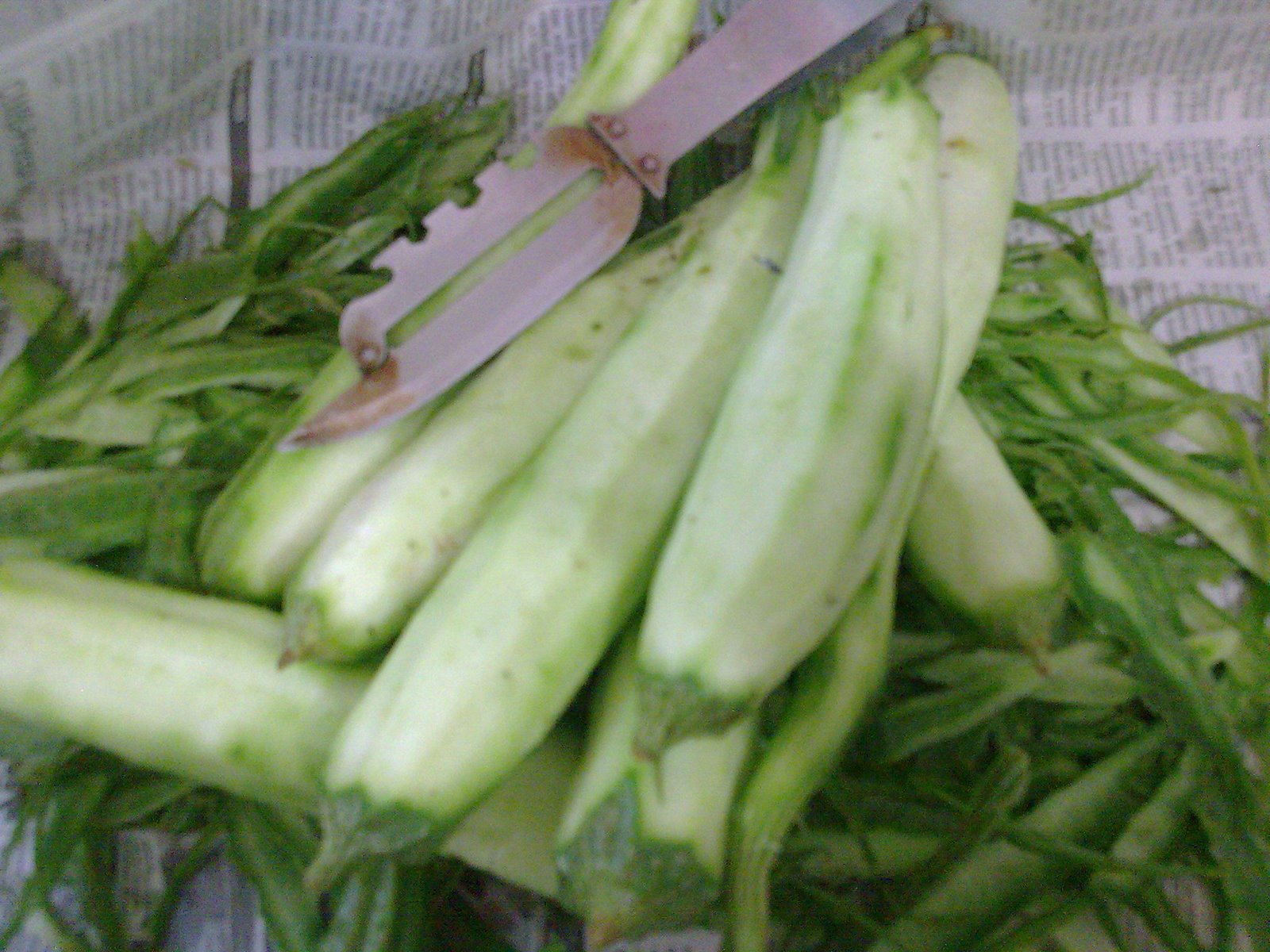 blindperfect: 248. Petola With Egg And Tomato