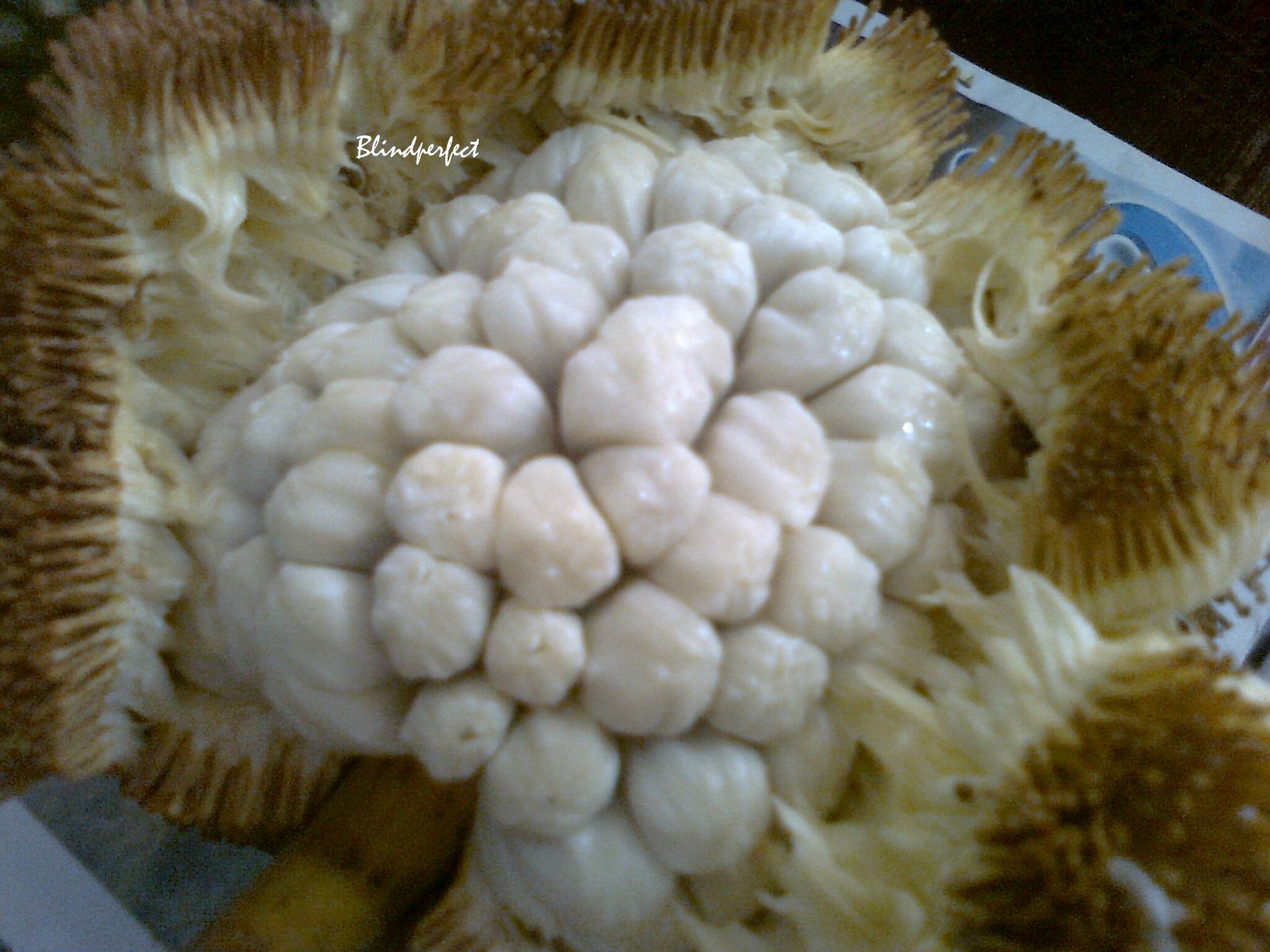 blindperfect: 321. Buah Terap