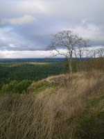 WA Bow Hunting Blog aka escape suburbia: Vail Tree Farm