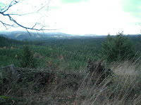 WA Bow Hunting Blog aka escape suburbia: Vail Tree Farm