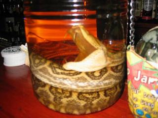 Richmond's In Japan: Habu Sake