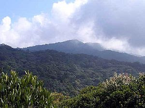 Pak Teh Speaks: Gunung Benom Expedition