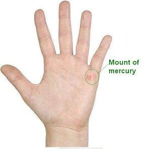 palmistry: Know your Future: Palmistry: the mount of Mercury