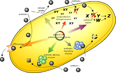 08/03/09 - 15/03/09 - men's & Women Health Blog