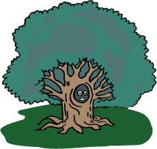 Excel Math: The Math Family Tree and its Branches