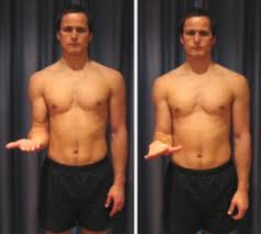 FreakGym: Anatomie-základy