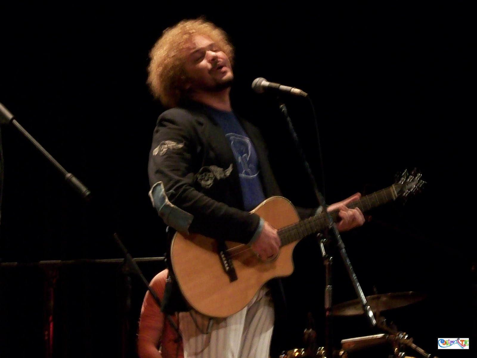 Colimarte: David Torrens