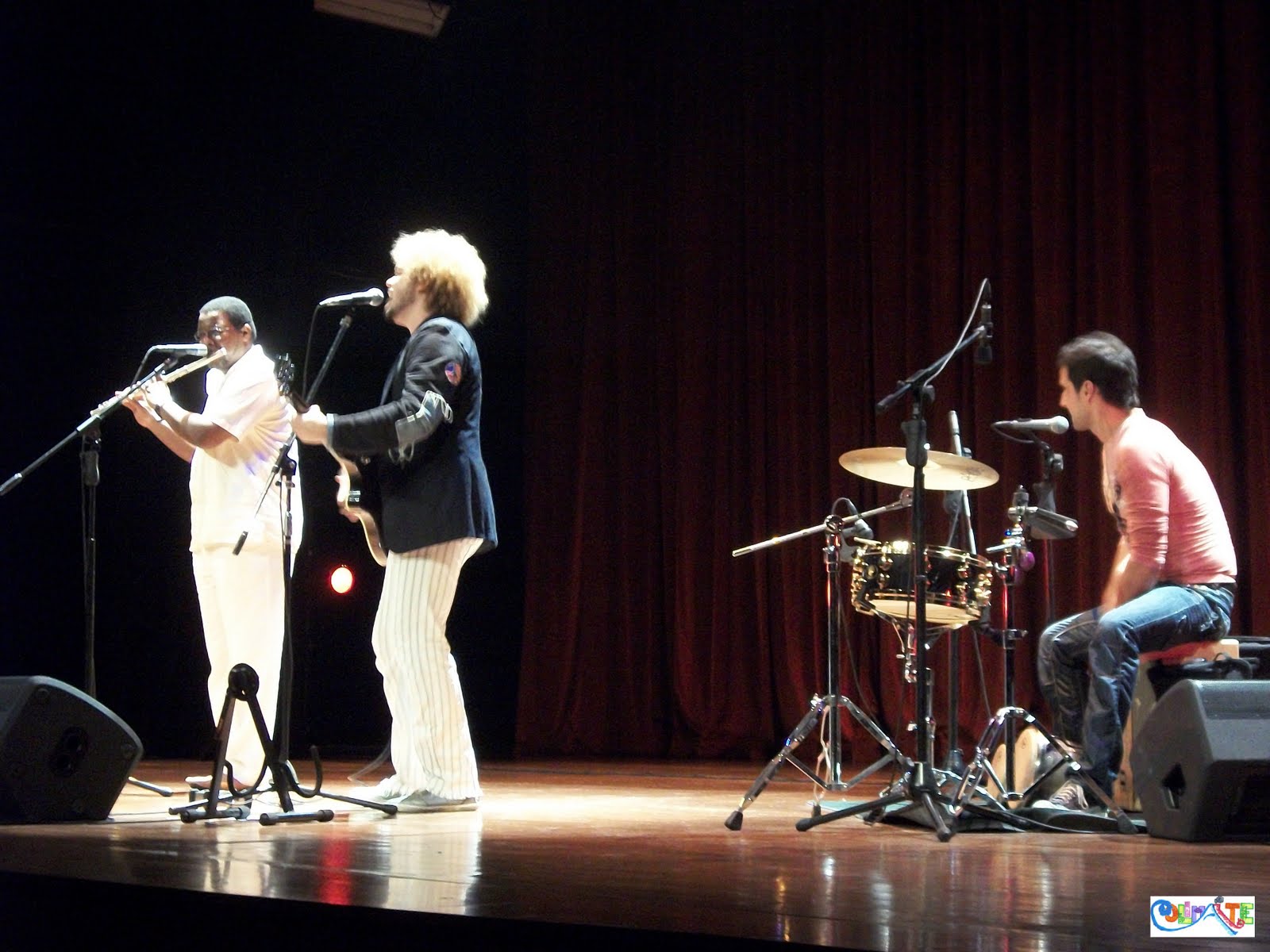Colimarte: David Torrens