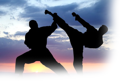 ACADEMIA REFLEXO: A Honra e o Karatê