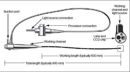Cure Lung Cancer Now: Flexible Bronchoscope / Rigid Bronchoscope
