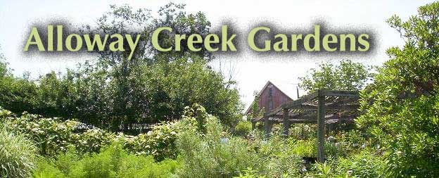 Alloway Creek Gardens