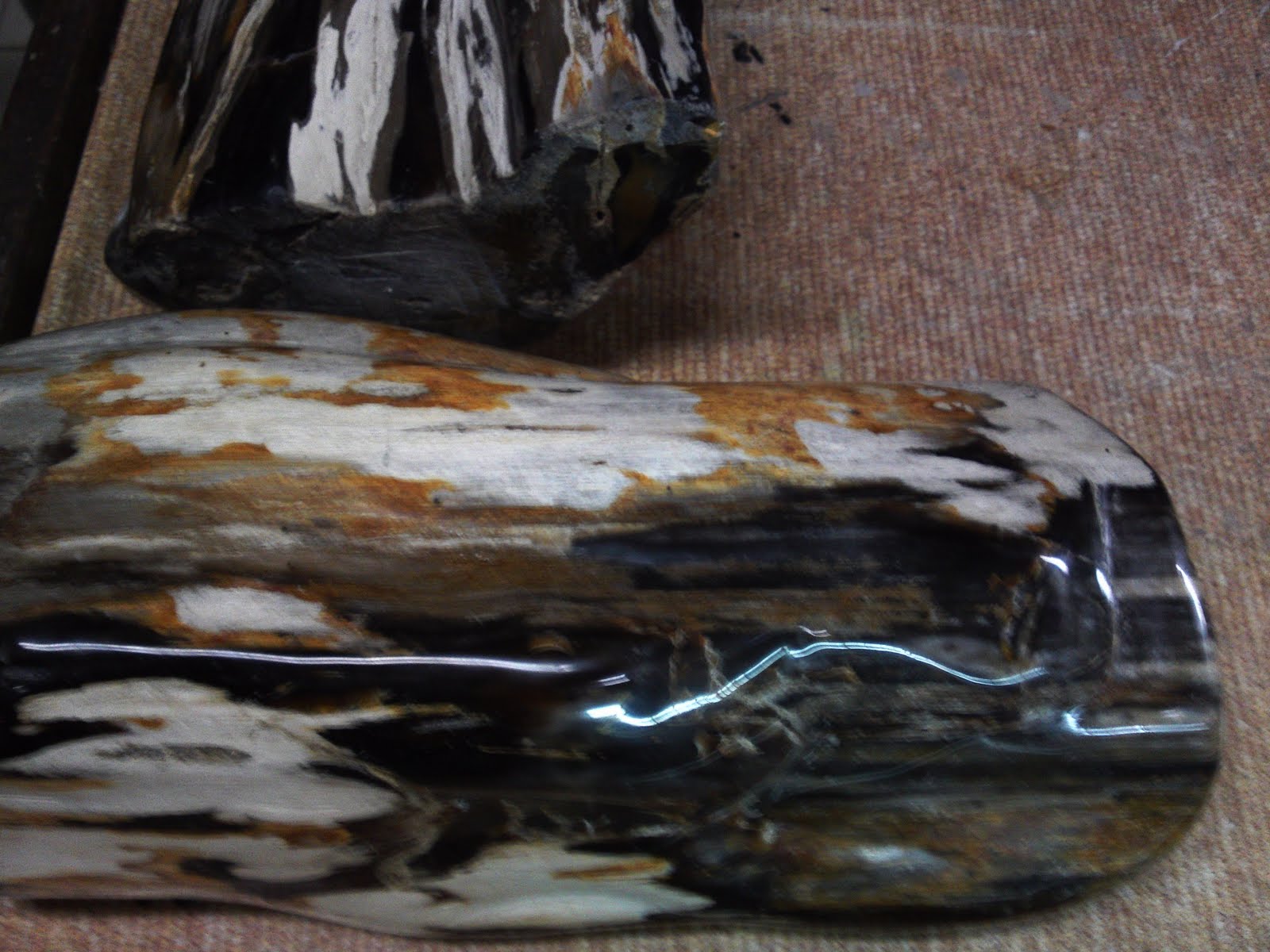 BLOG KOLEKSI MEGA MISTIK DAN ANTIK ANTARABANGSA: Fossil Kayu Jadi Batu