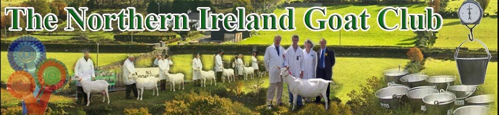 Northern Ireland Goat Club