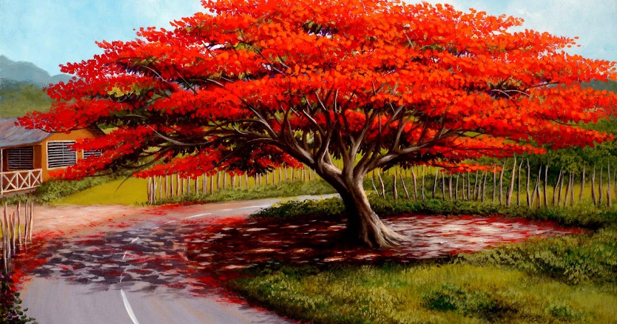 Dé y recibirá.: When the Flamboyan is blooming