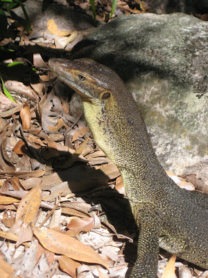 Environment | The Water Monitor