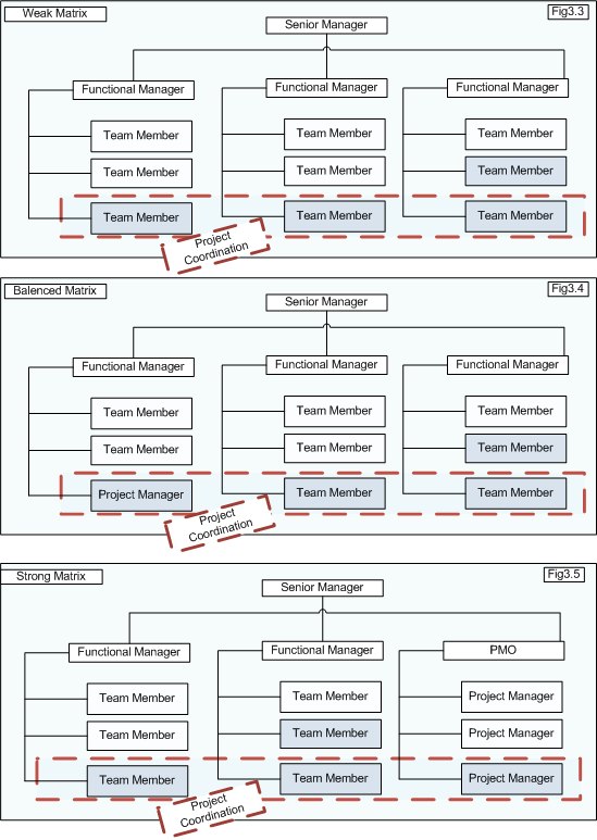 get pmp certified: Organization Structure