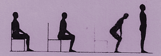 Techie Surgeon: Back pain and posture.