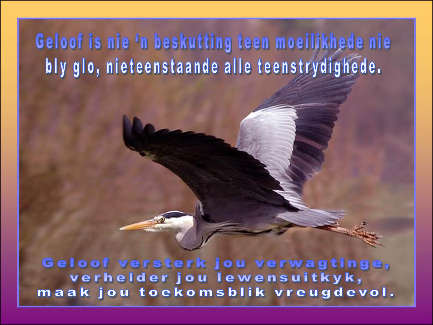 Let's Talk About It...: 3. Mooi Gedagtes