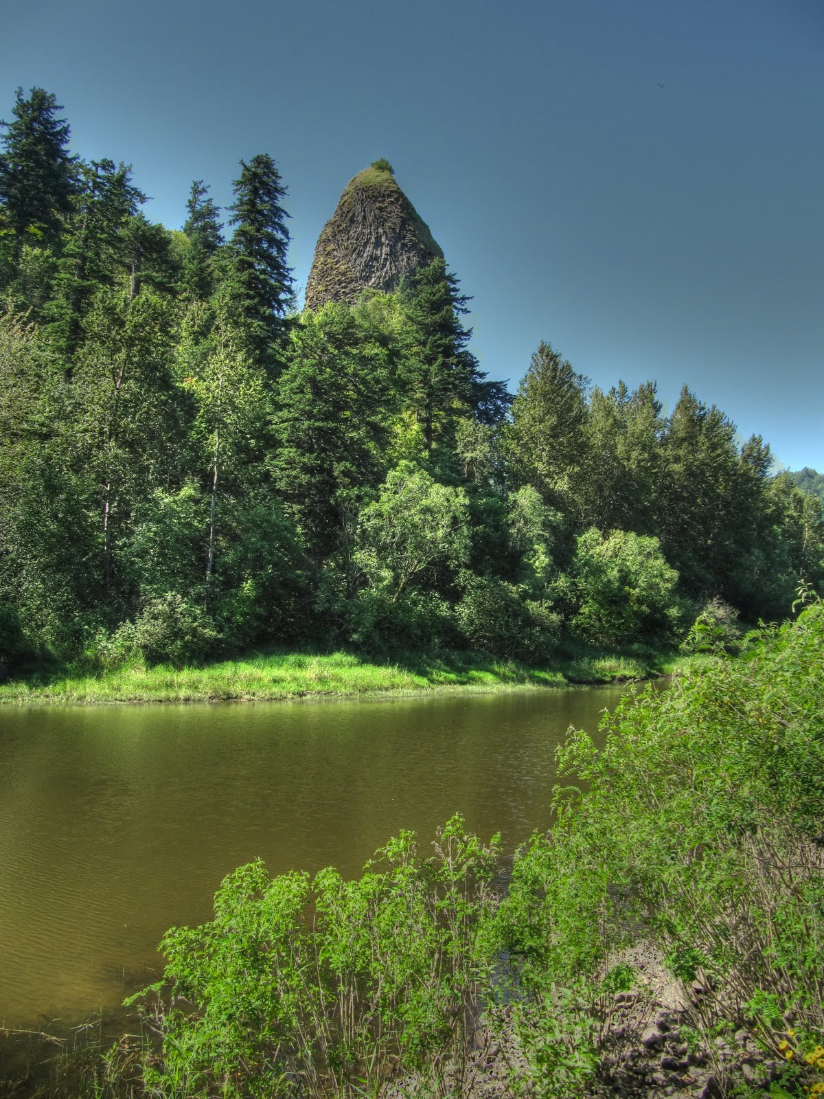 nature big nature small: rooster rock, nr portland oregon