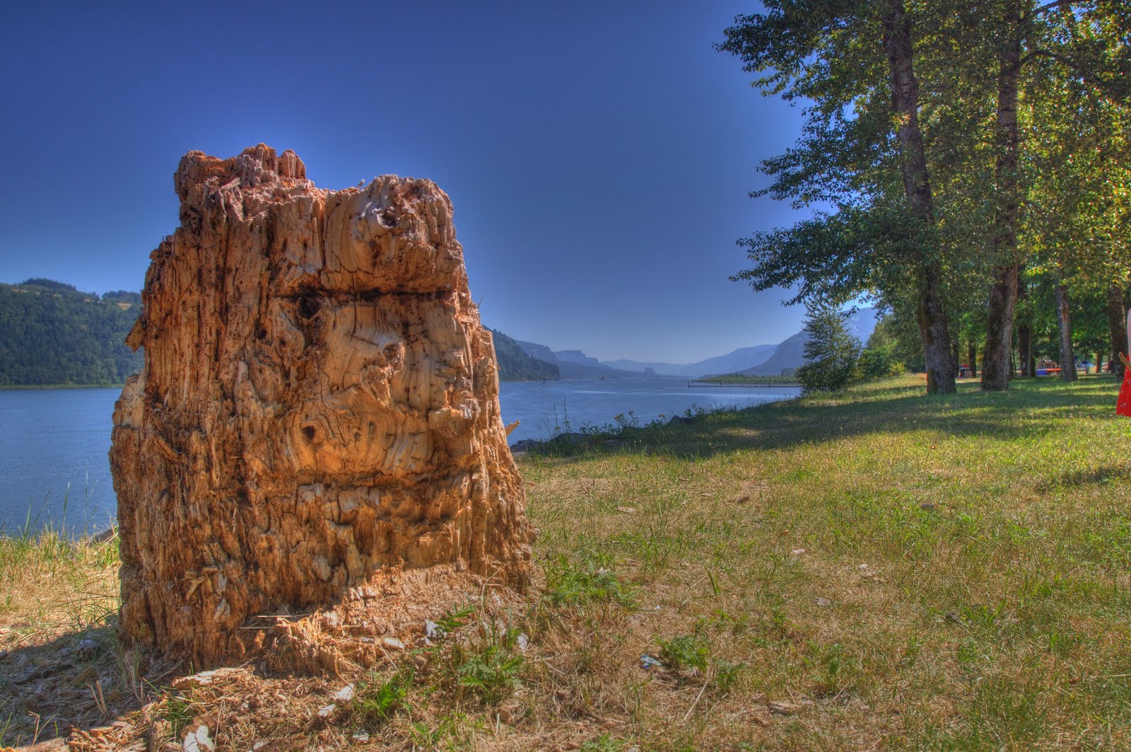 nature big nature small: rooster rock, nr portland oregon