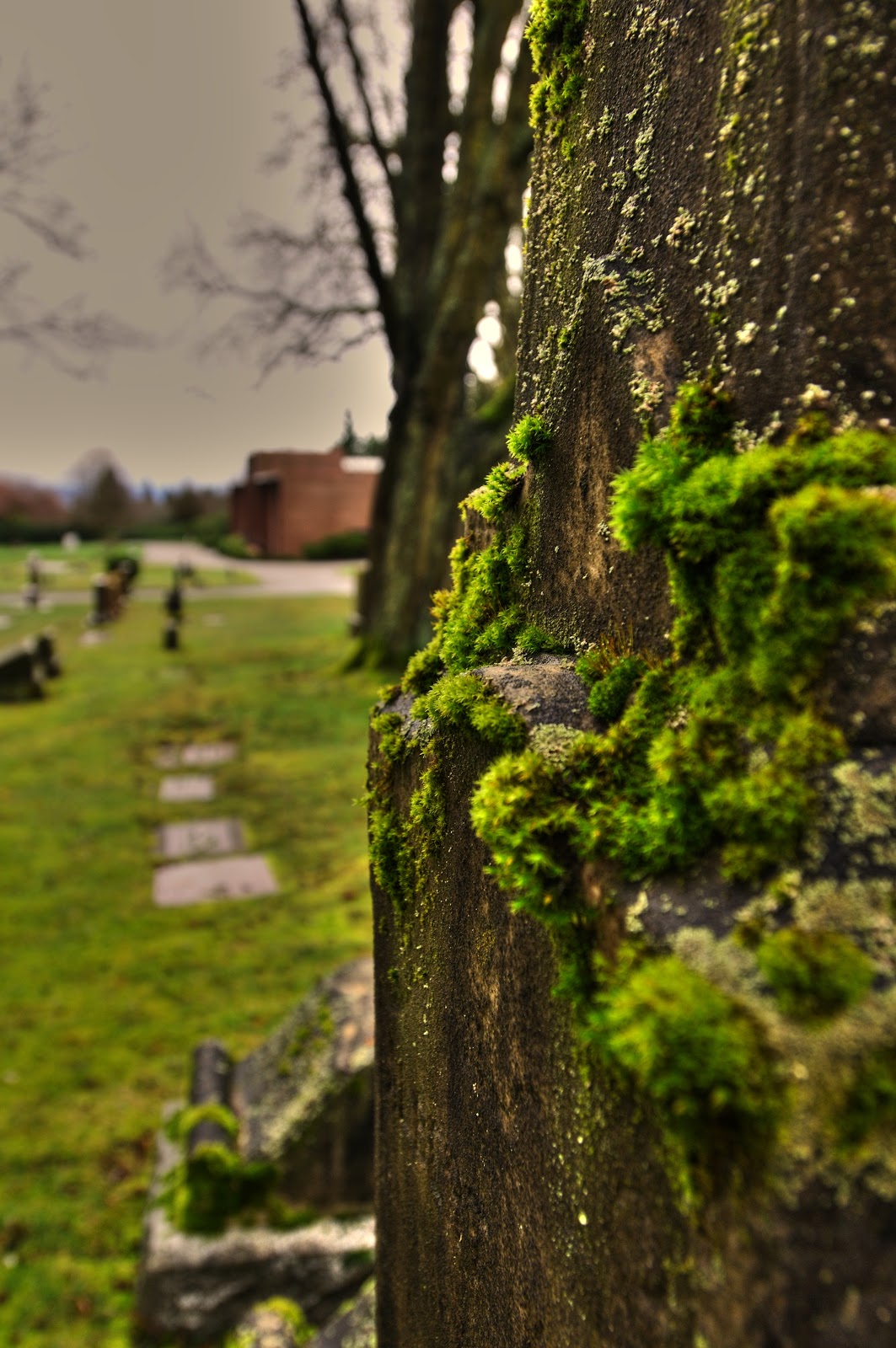 cemeteries i have known and loved: mt pleasant cemetery, queen anne ...