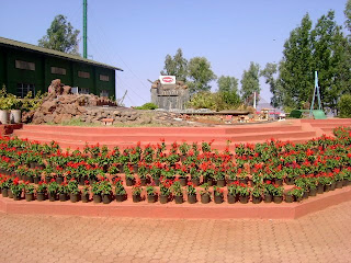 Mumbai Daily Snapshot: Mapro Garden