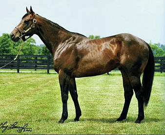 Iron Maidens Thoroughbreds: The New Derby Rules – Does Uncle Mo Fit The ...