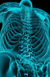 Plaza Physiotherapy Clinic: The Malalignment Syndrome