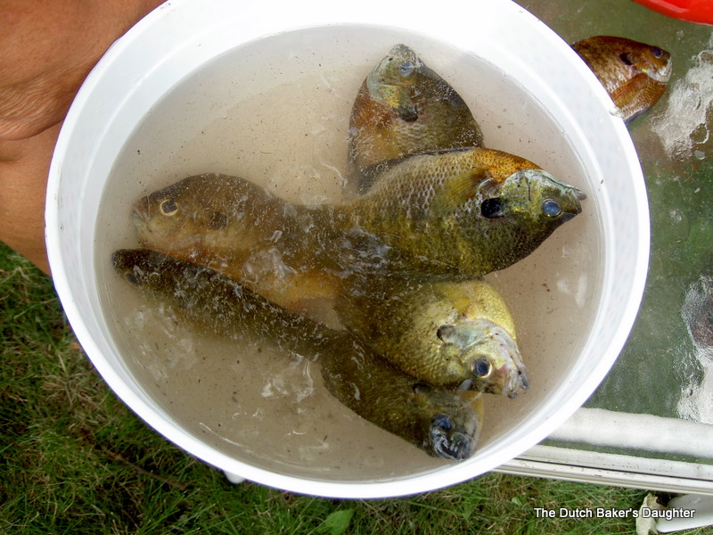 The Dutch Baker's Daughter: September 2010