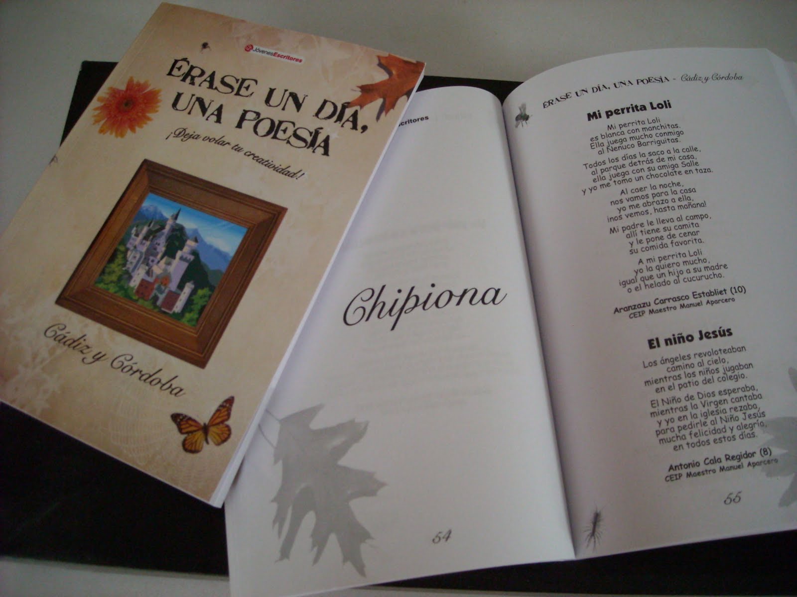 LIBROS PARA DESCUBRIR, LIBROS PARA VIVIR: El libro de nuestras poesías