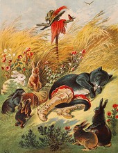 Au Fil des lectures...: Charles Perrault - Le Maître chat ou Le Chat botté