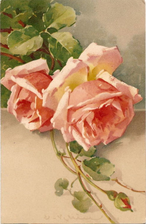 ~PINK SATURDAY...Sweet Pink Rose Postcards For You~