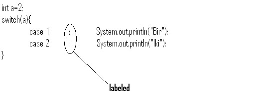 Programming with Java Statements(Java Programlama Ifadeleri ...