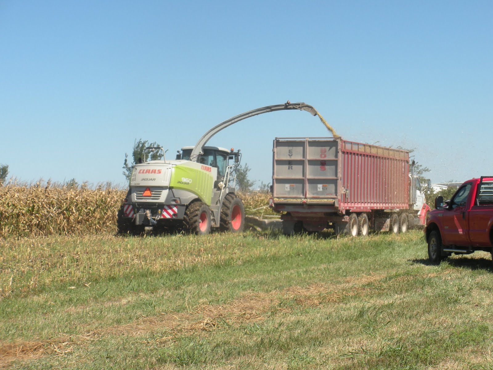 allegro wanderer: Chopping and Bagging Corn