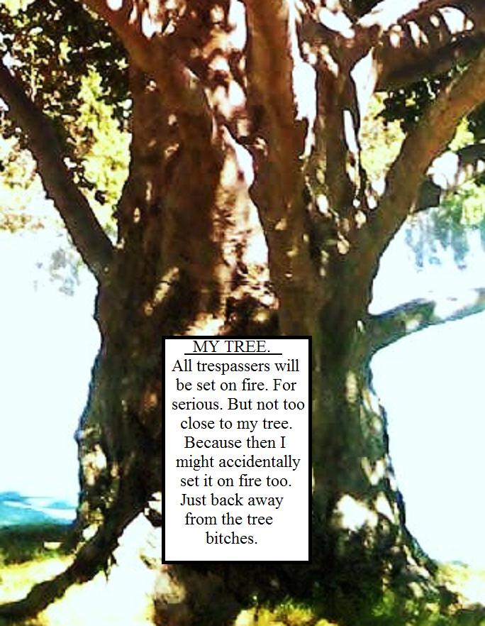 Waking Lyndon.: Tree.