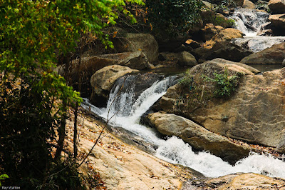 Natural Beauty: Pui National Park, Chang Mai (Thailand)