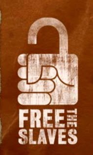 The Human Trafficking Project: Free the Slaves: Development Director