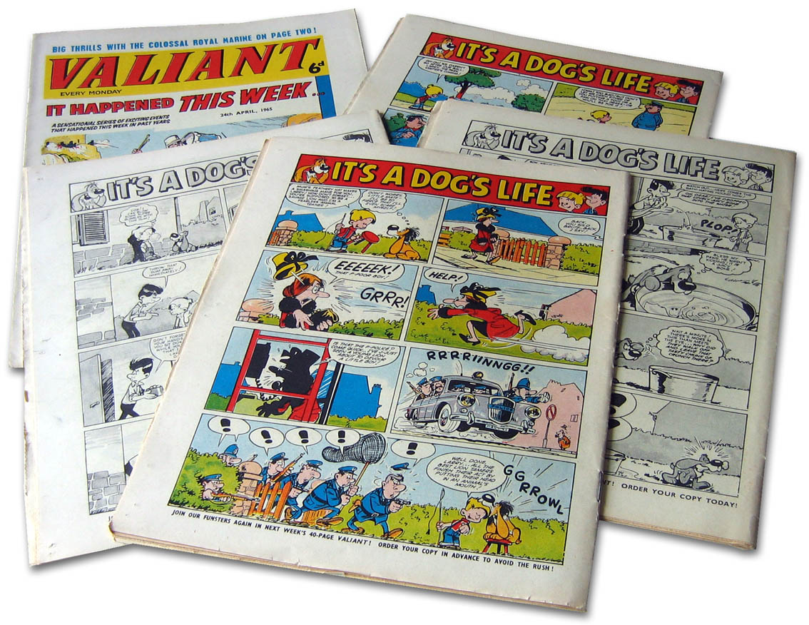 BLIMEY! The Blog of British Comics: Boule & Bill, Billy & Buddy, or ...