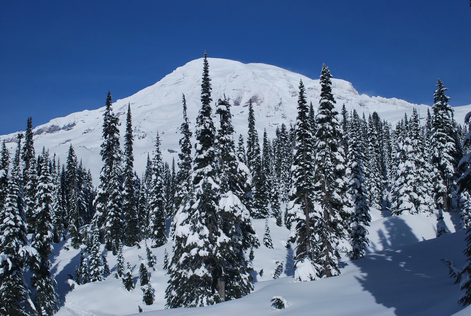 Visit Rainier: Forecasted Snow Closes Cayuse & Chinook Pass