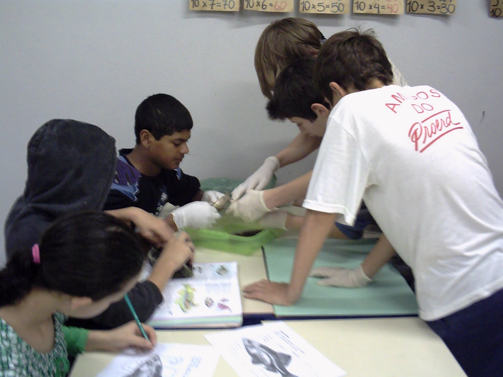 Escola Meno Dhein: Aulas práticas: Aprofundando Conhecimentos