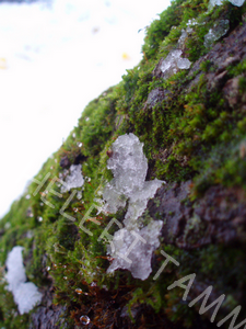 Jah Loodusele!: oktoober 2010