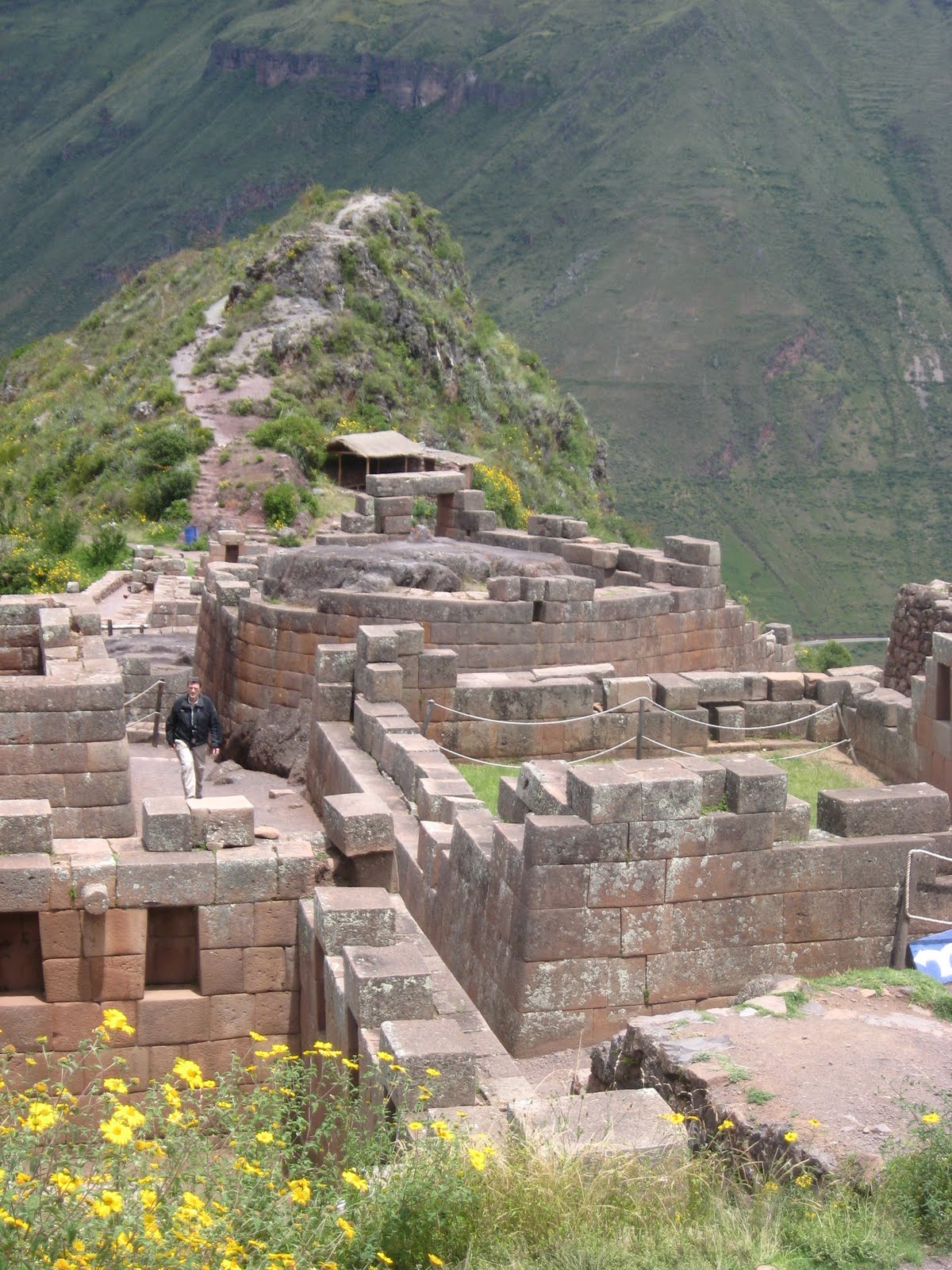 Wally's Excursion: Inca ruins, 2010