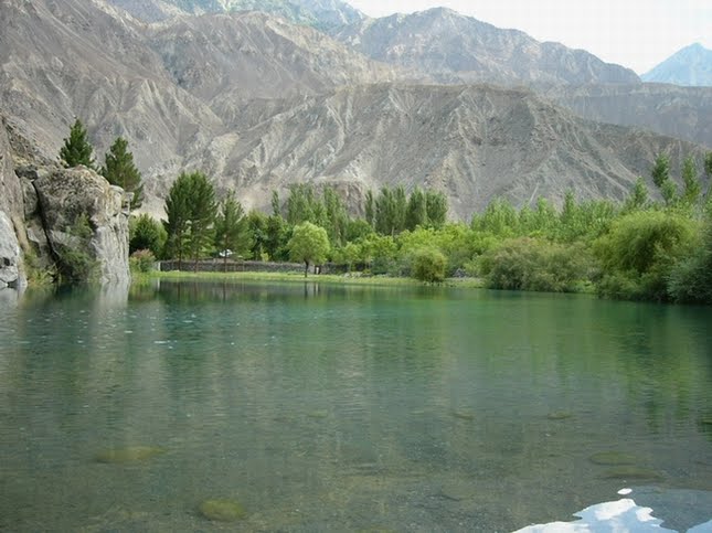 Shina Language and Culture