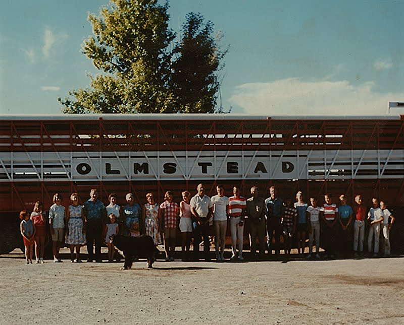 Olmstead Family Tree: 2010