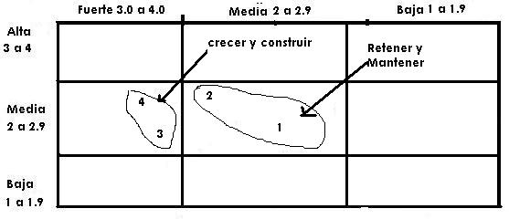 PlaNeaciOn eStRaTegiCa.: MATRIZ IEY